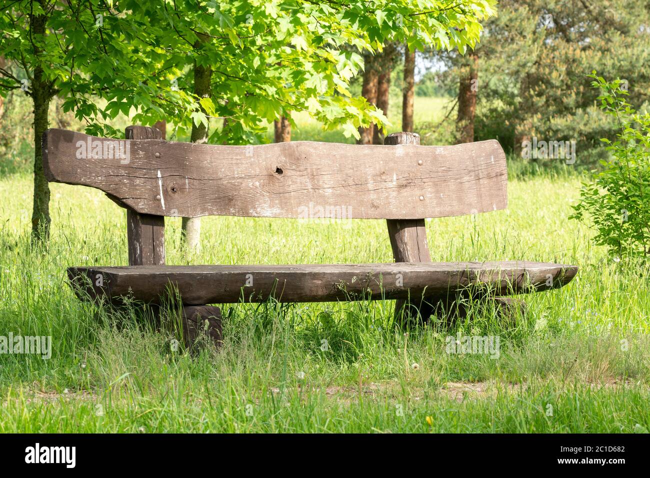 Resting place under trees hi-res stock photography and images - Alamy