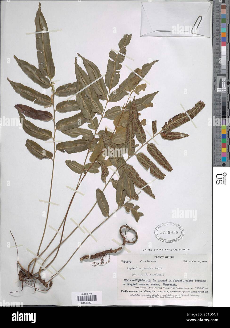 Remotum hi-res stock photography and images - Alamy