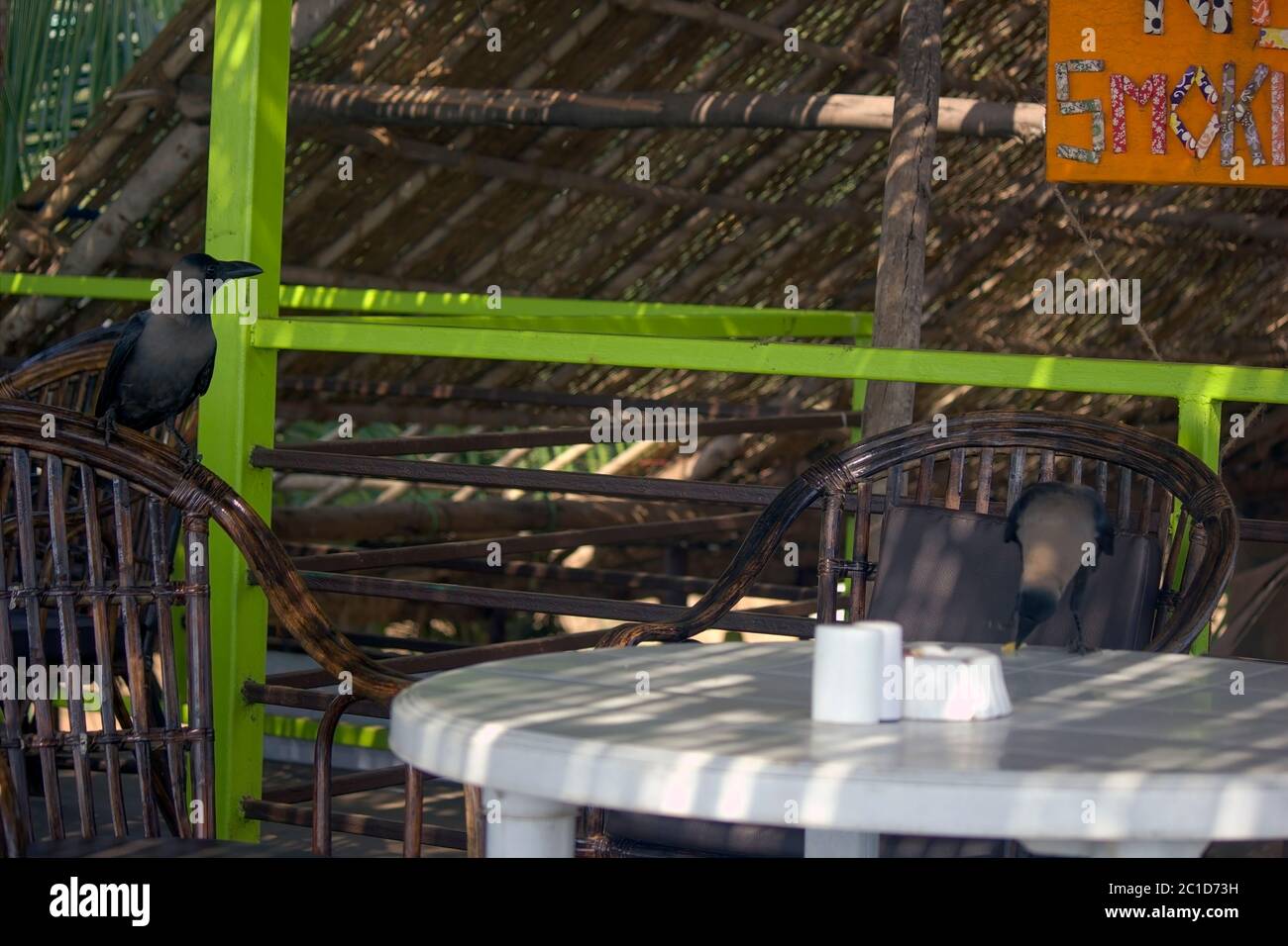 Dining with crows hi-res stock photography and images - Alamy