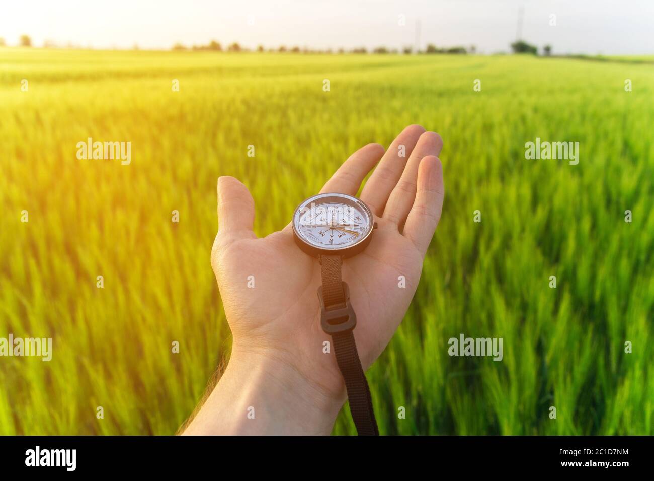 Finding a direction in nature on a wheat field. A man's hand holds a ...
