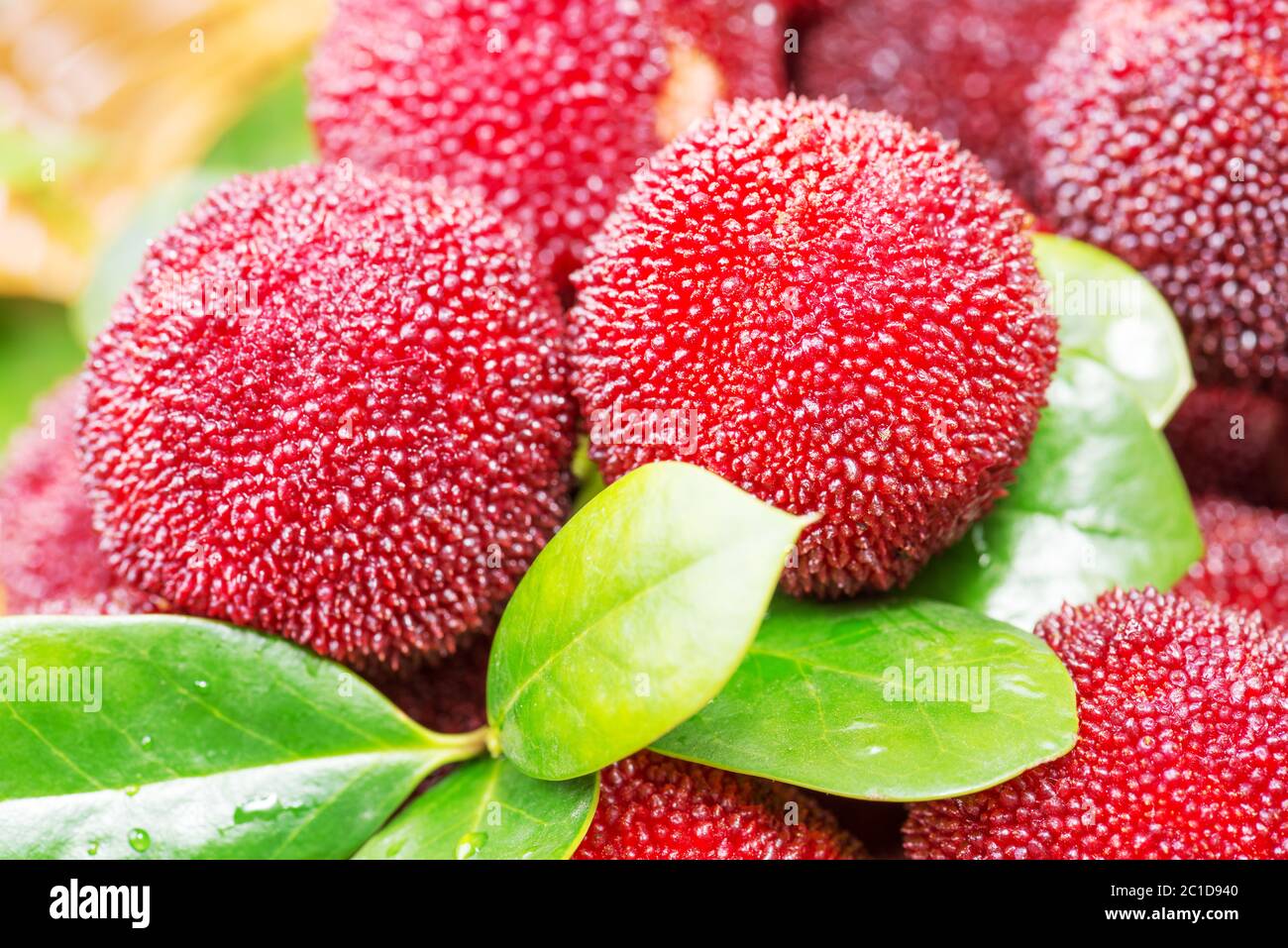 red and ripe waxberry under white background Stock Photo - Alamy