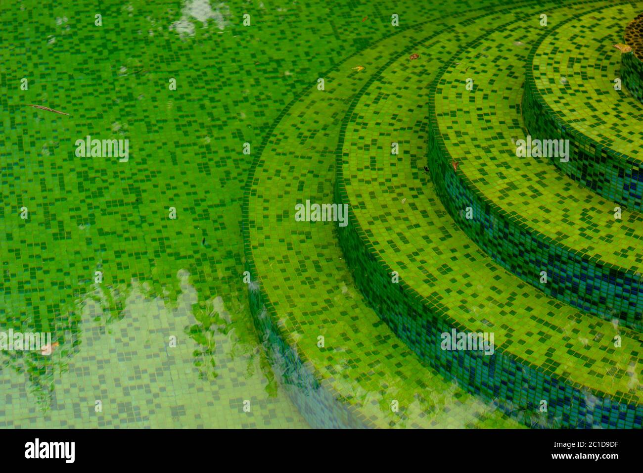 The water in the pool is rotten. Unclean pool Stock Photo - Alamy
