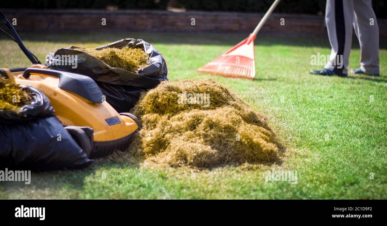 A man clogs the felt with a lawn with red plastic rags, after aeration ...