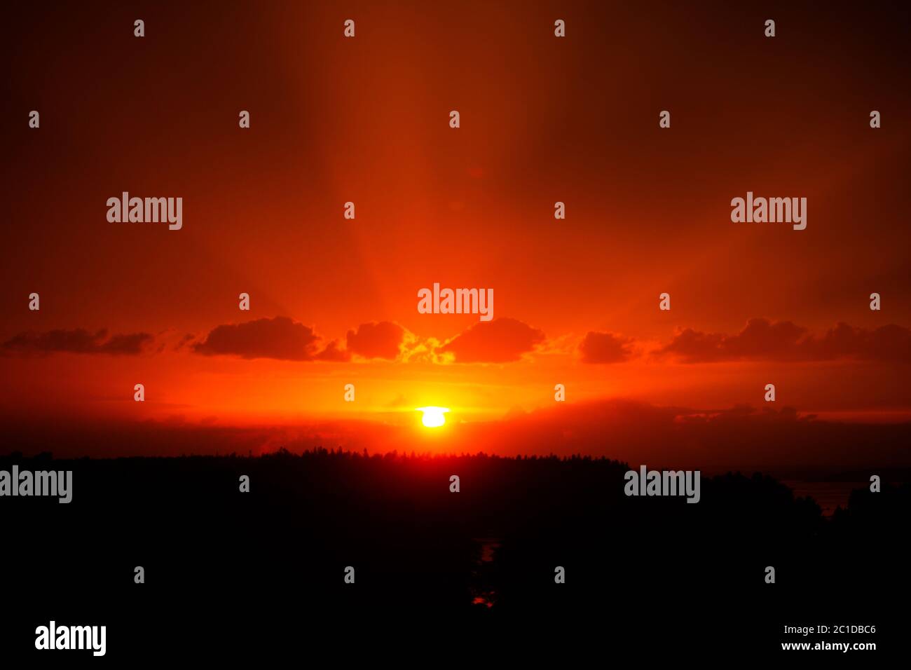 Red sunset sky with rays of sin light and some clouds over the forest ...