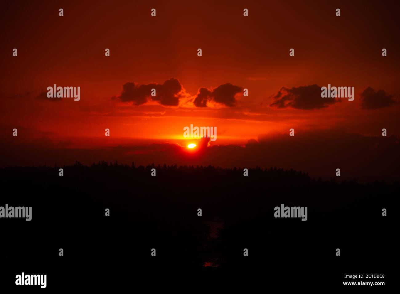 Red sunset sky with rays of sin light and some clouds over the forest ...