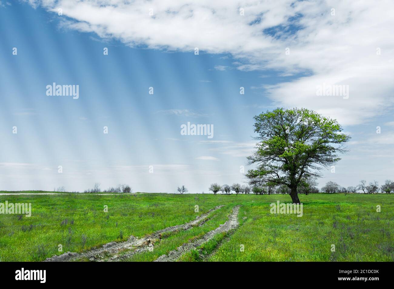 Summer landscape with green grass, road and clouds Stock Photo - Alamy