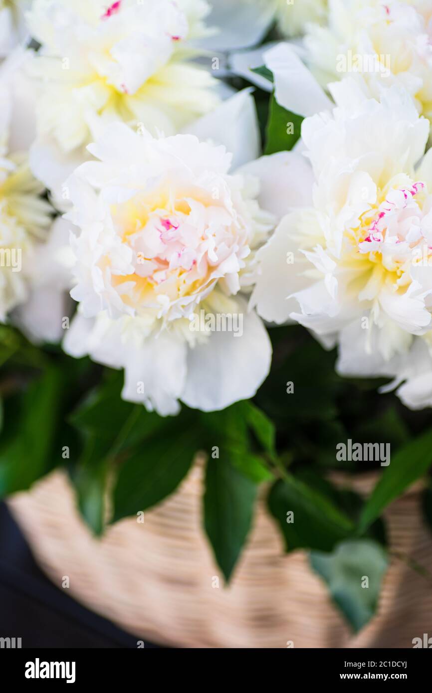 Busket flower hi-res stock photography and images - Alamy