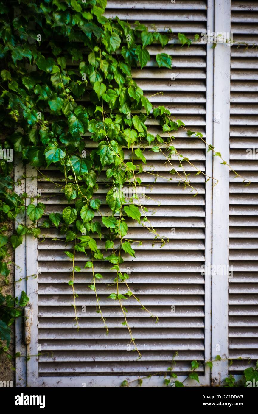 Old window with shutters hi-res stock photography and images - Alamy