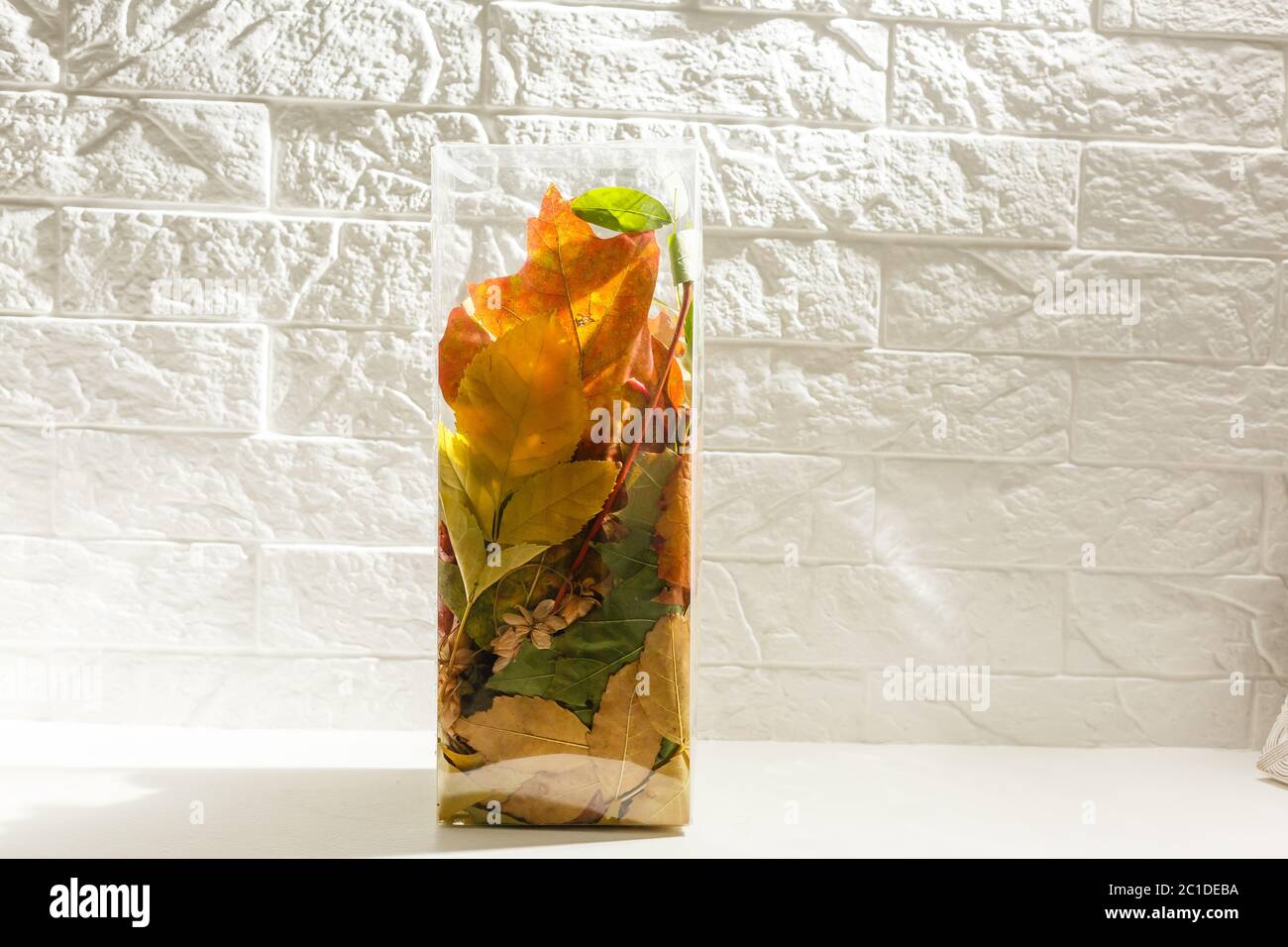 collection of autumnal leaves in a transparent box Stock Photo - Alamy