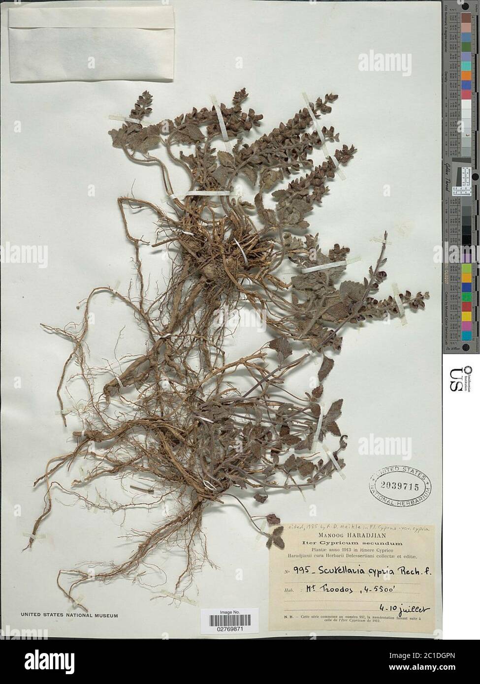 Cypria hi-res stock photography and images - Alamy