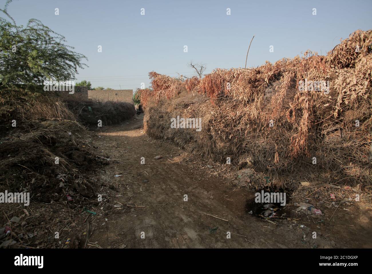 Pakistan poverty hi-res stock photography and images - Alamy