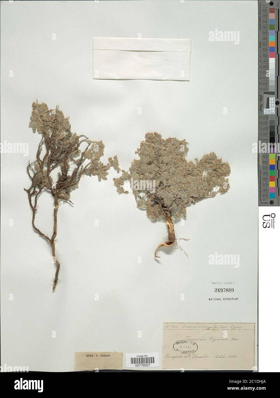 Cyprium hi-res stock photography and images - Alamy