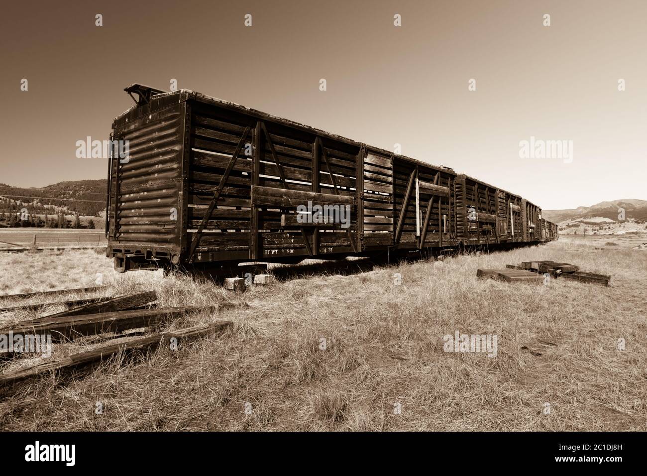 Old abandoned railway cars near Creede Colorado Stock Photo - Alamy