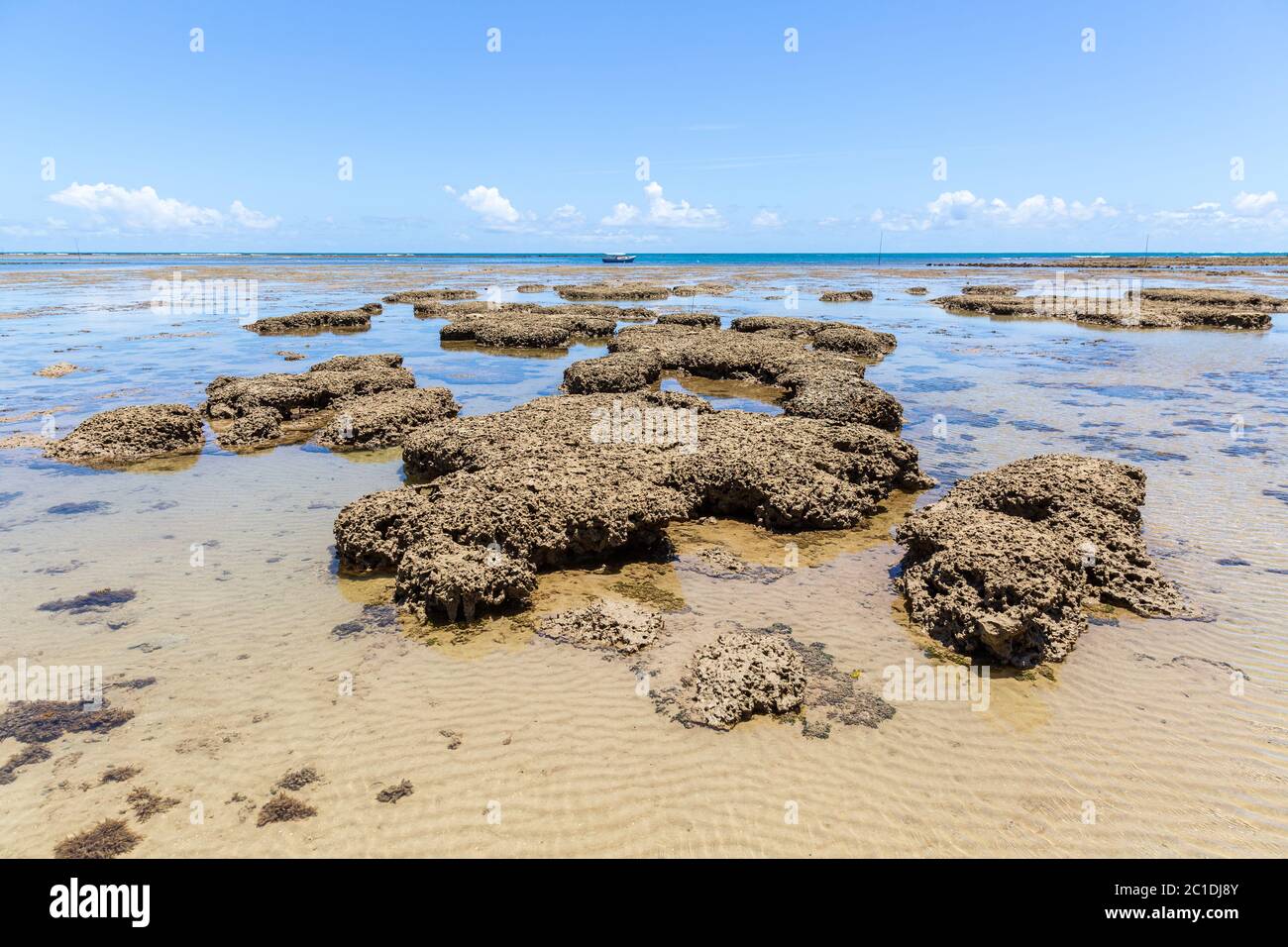 Coral Reef ecosystems grow nearby seashore on Boipeba Island in Brazil ...