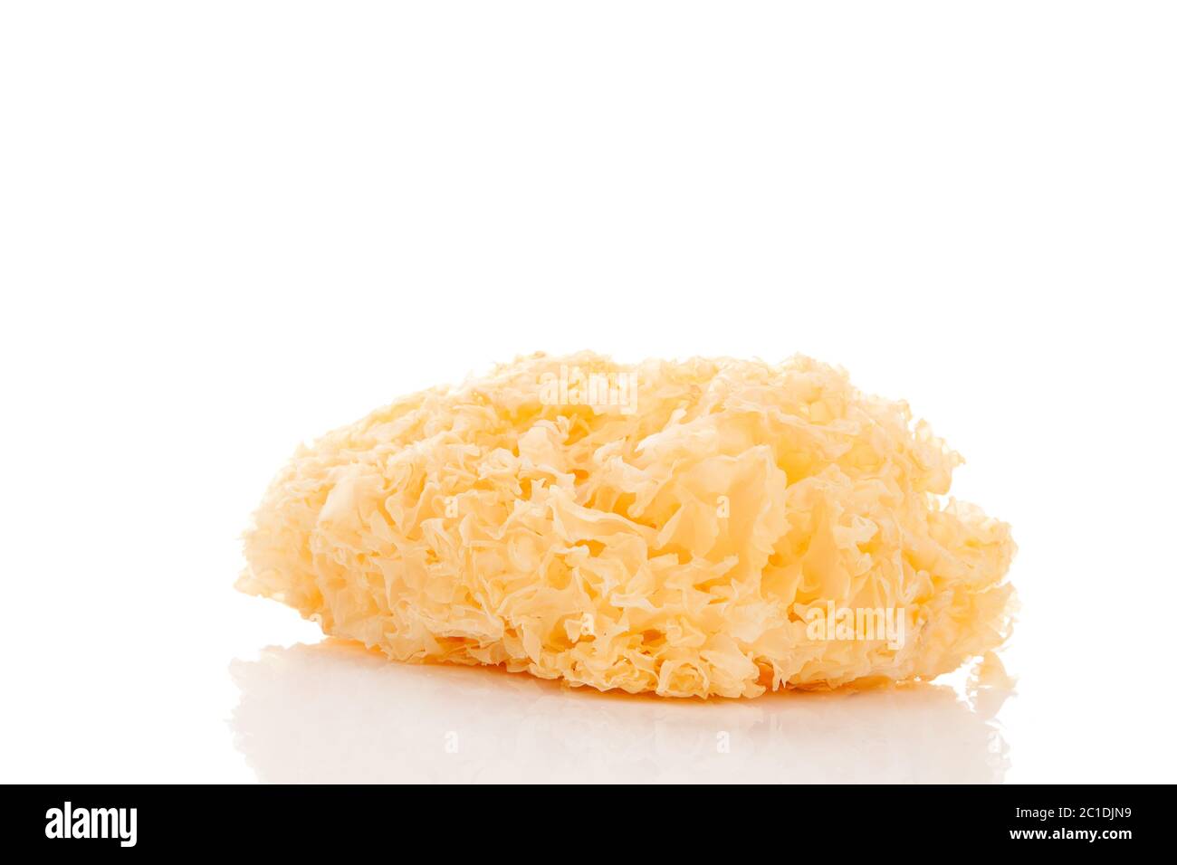 Silver ear fungus tremella fuciformis hi-res stock photography and ...