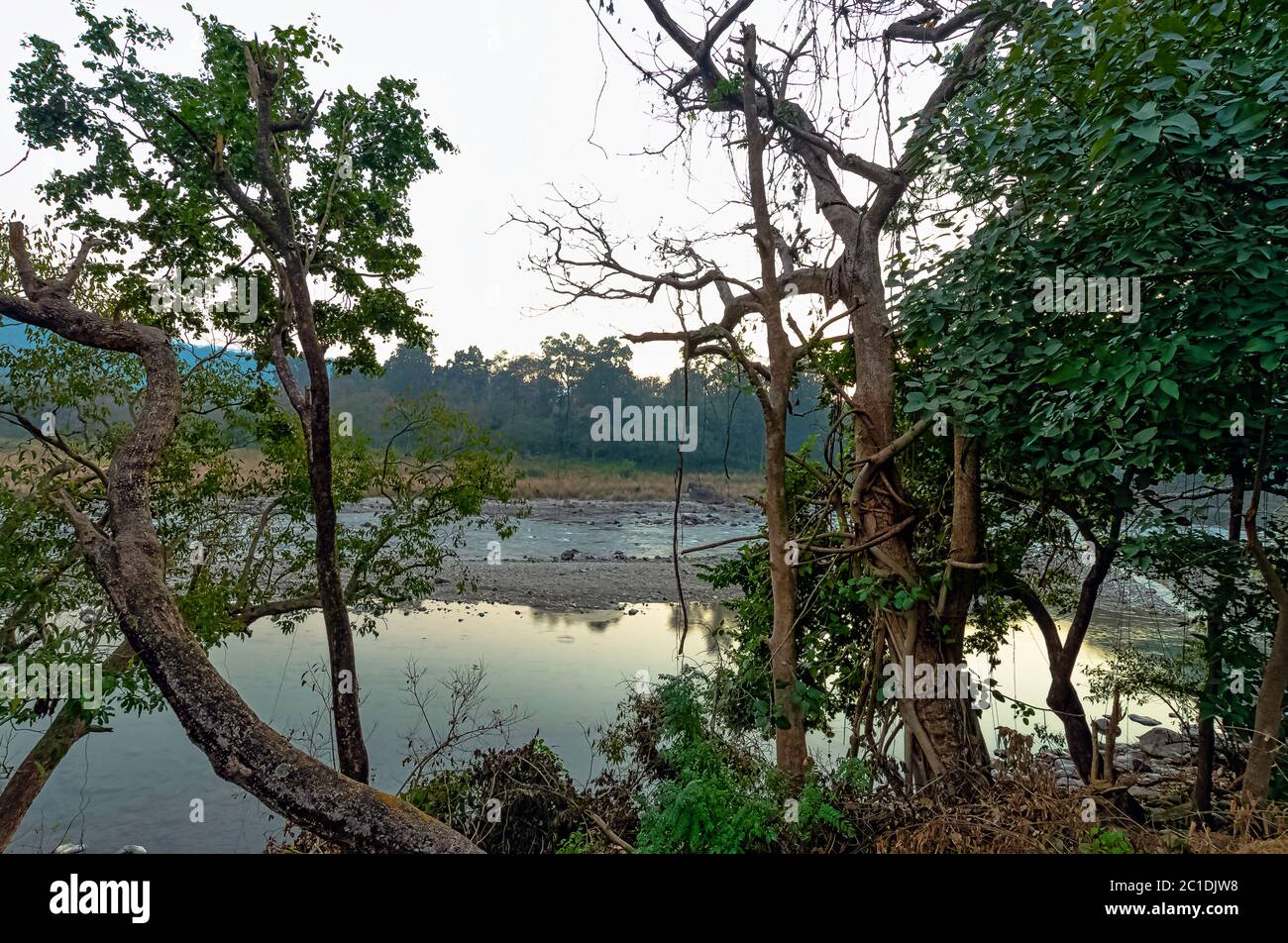 Sunset over Ramganga River in Jim Corbett National Park, India Stock ...
