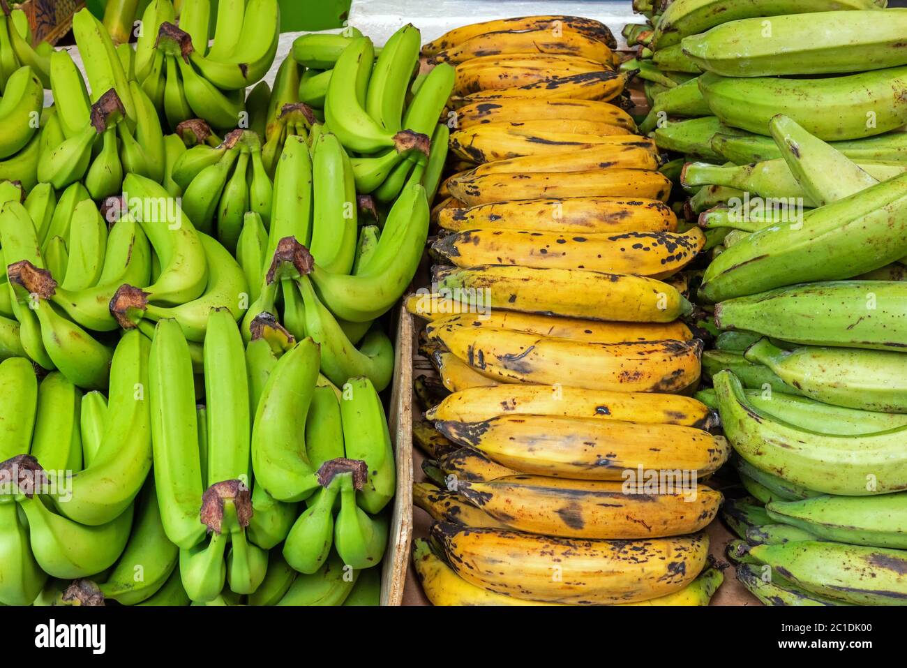 Different kinds of bananas for sale at a market in Brixton, London ...