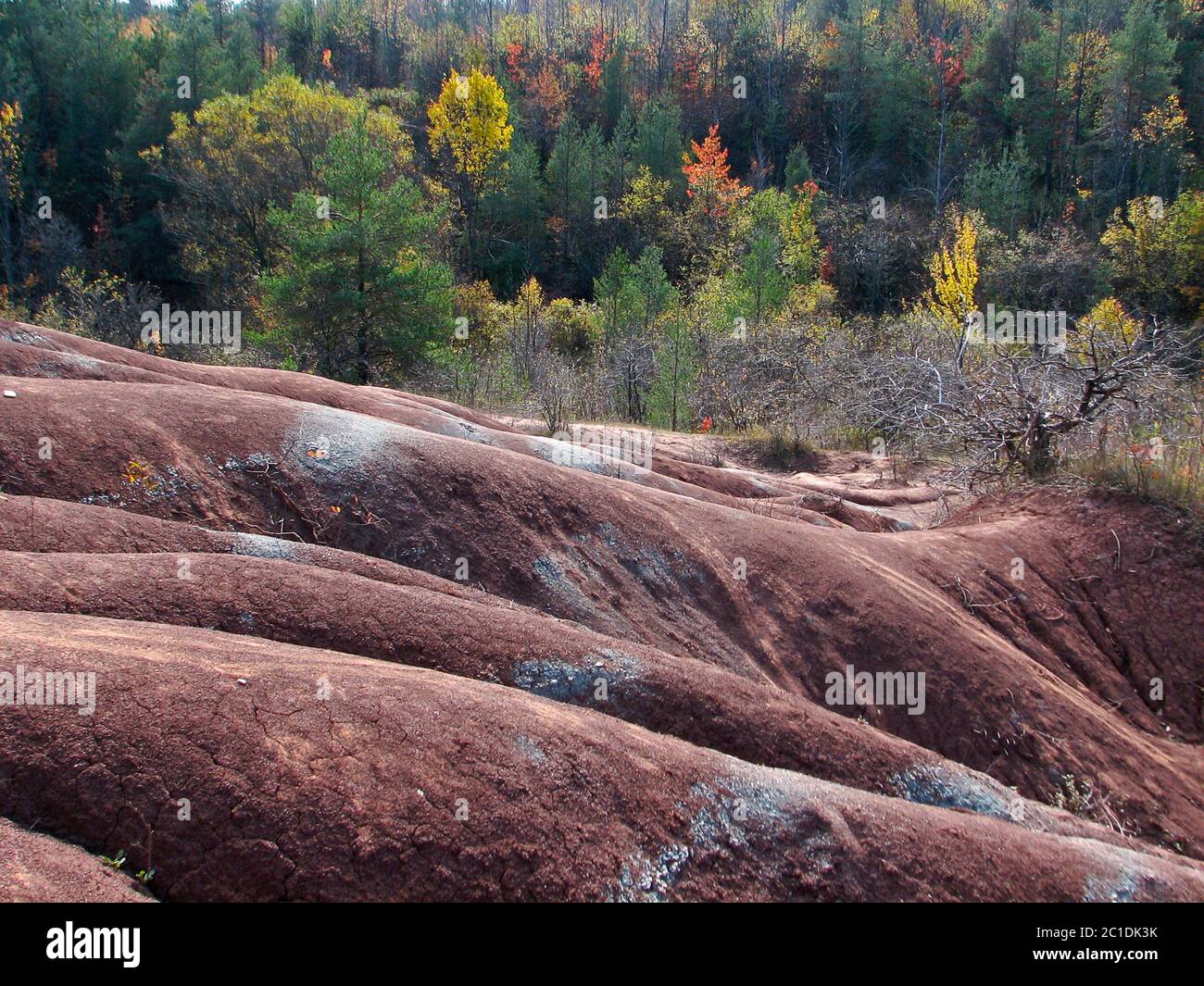 Beautiful landscape of the Cheltenham badlands surrounded by a forest ...