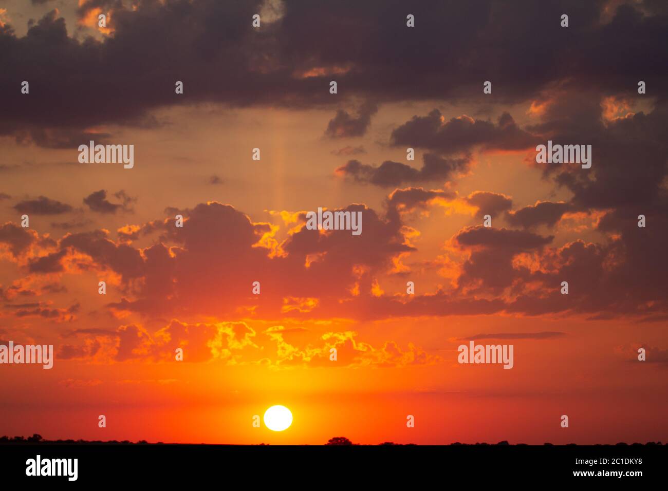 Amazing sunset sky for abstract background. Vivid colors Stock Photo ...