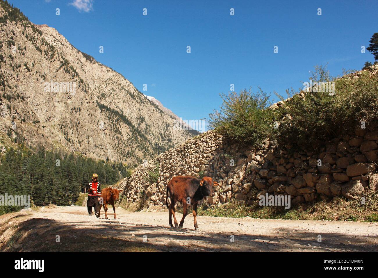 Beauty of swat hi-res stock photography and images - Alamy