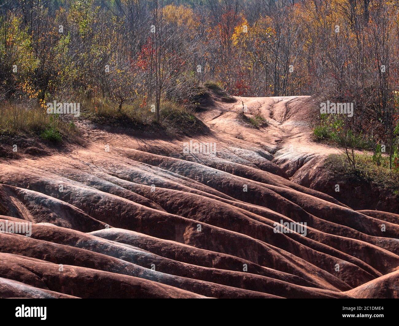 The spectacular landscape of the Cheltenham badlands surrounded by a ...