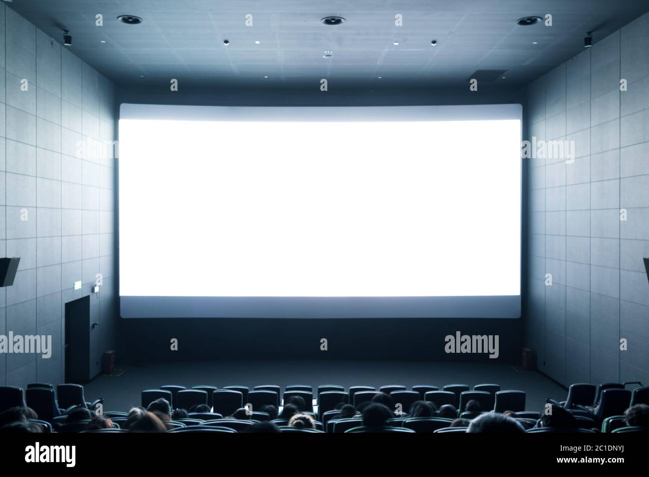 Movie Audience Screen