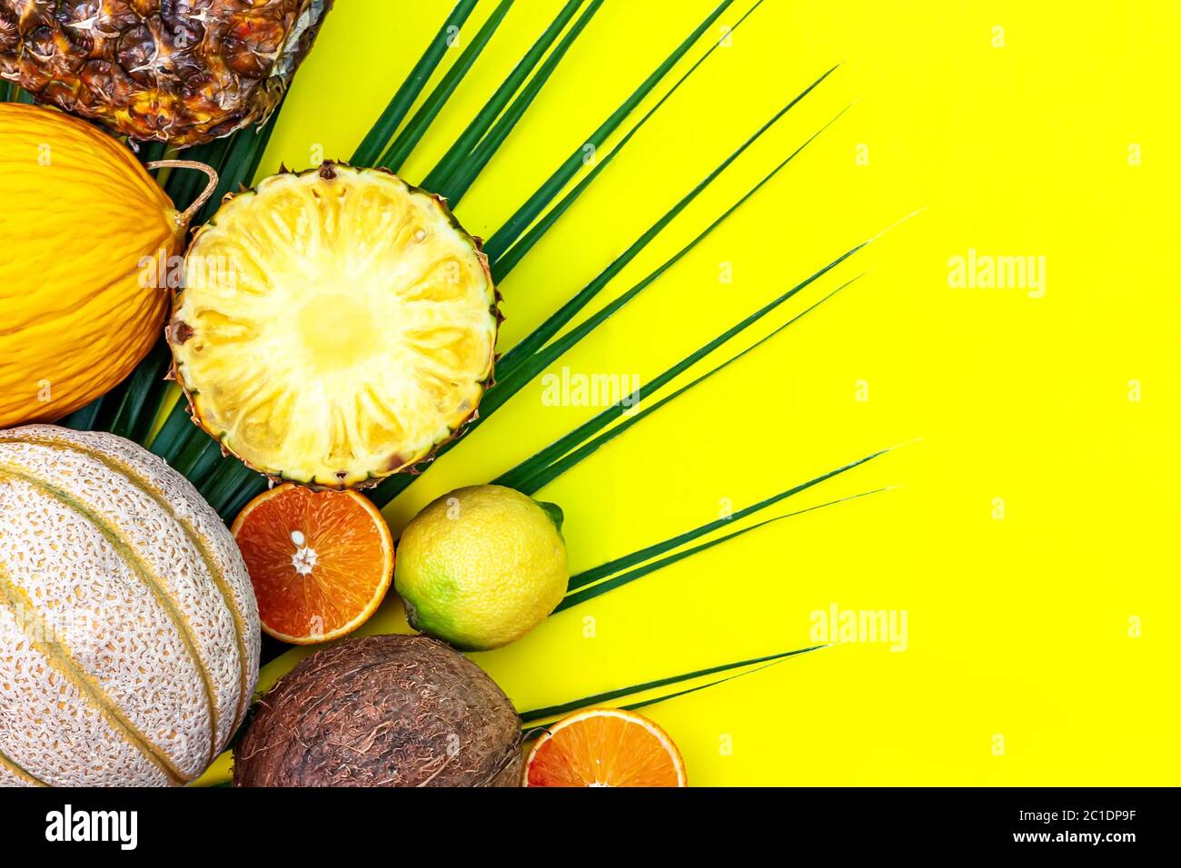 Summer creative tropic fuit layout. Pineapple, melon, lemon, orange ...