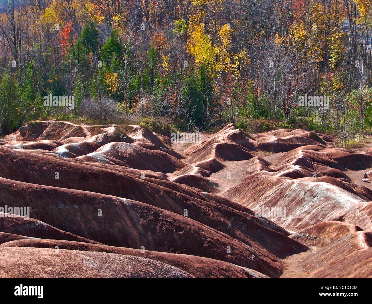 The red soil of the Cheltenham Badlands located in Caledon, Ontario ...
