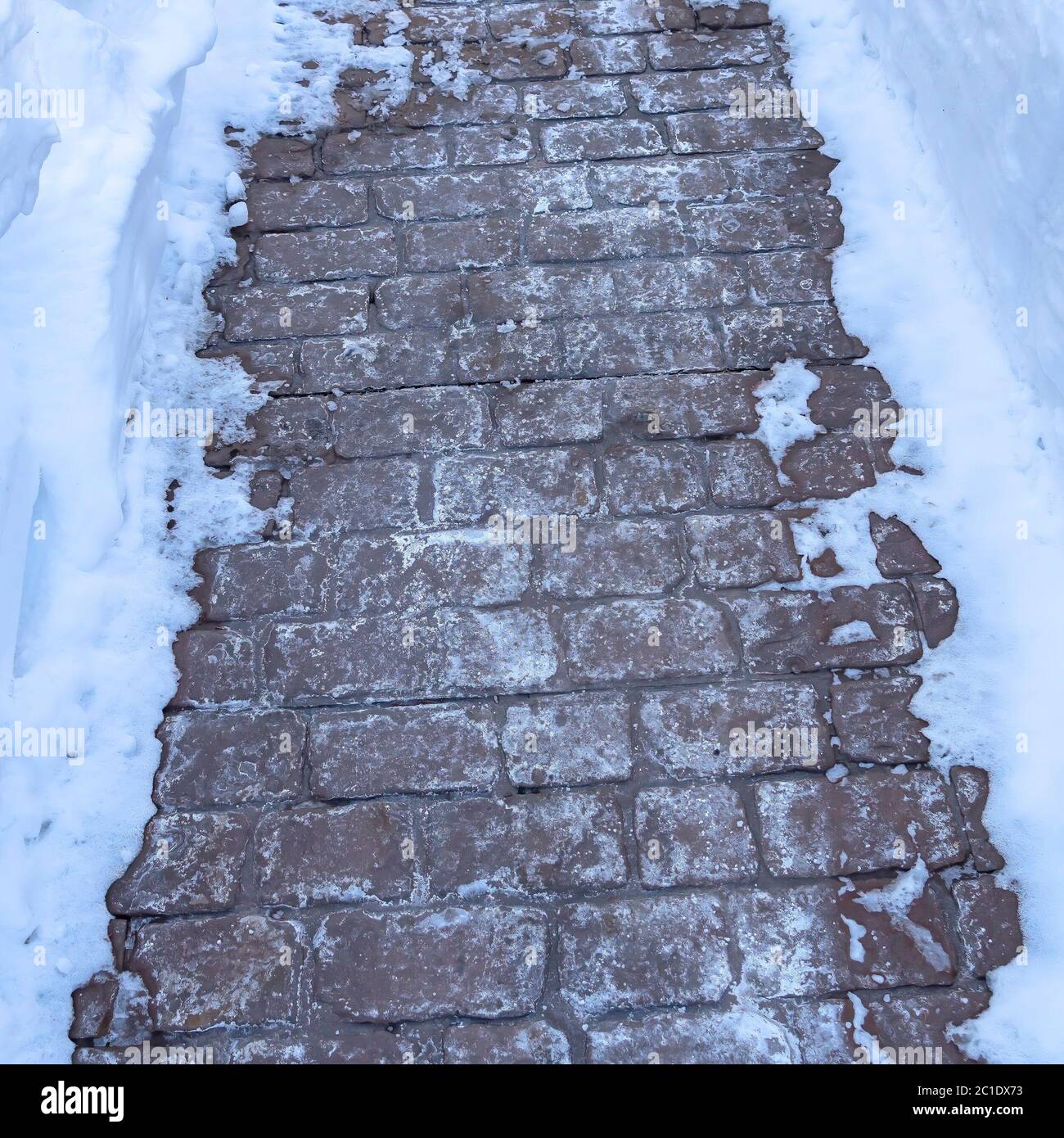 Square Close up of pathway paved with gray stone bricks amid deep layer ...