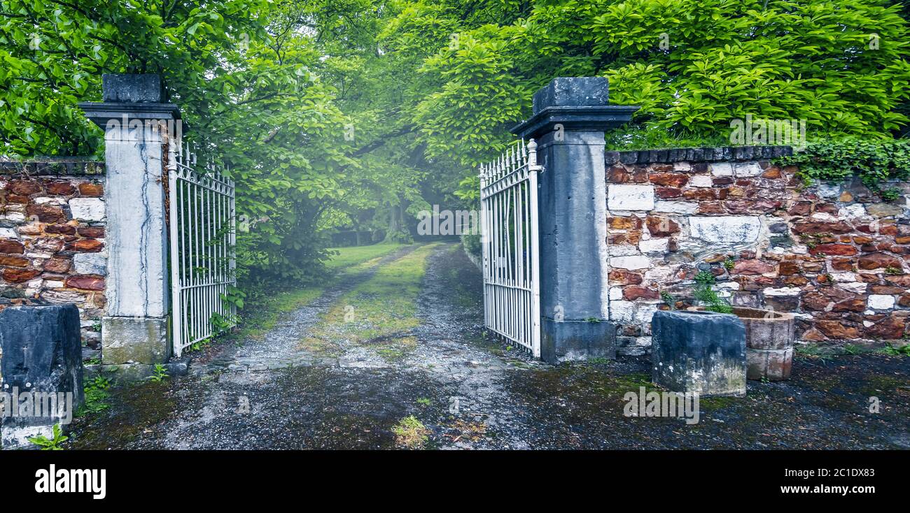 Open iron gate to the forest Stock Photo - Alamy