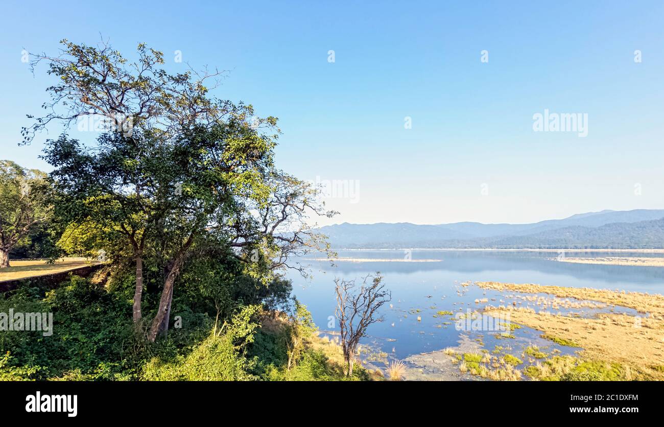 Panorama of Ramganga River in Jim Corbett National Park, India Stock ...