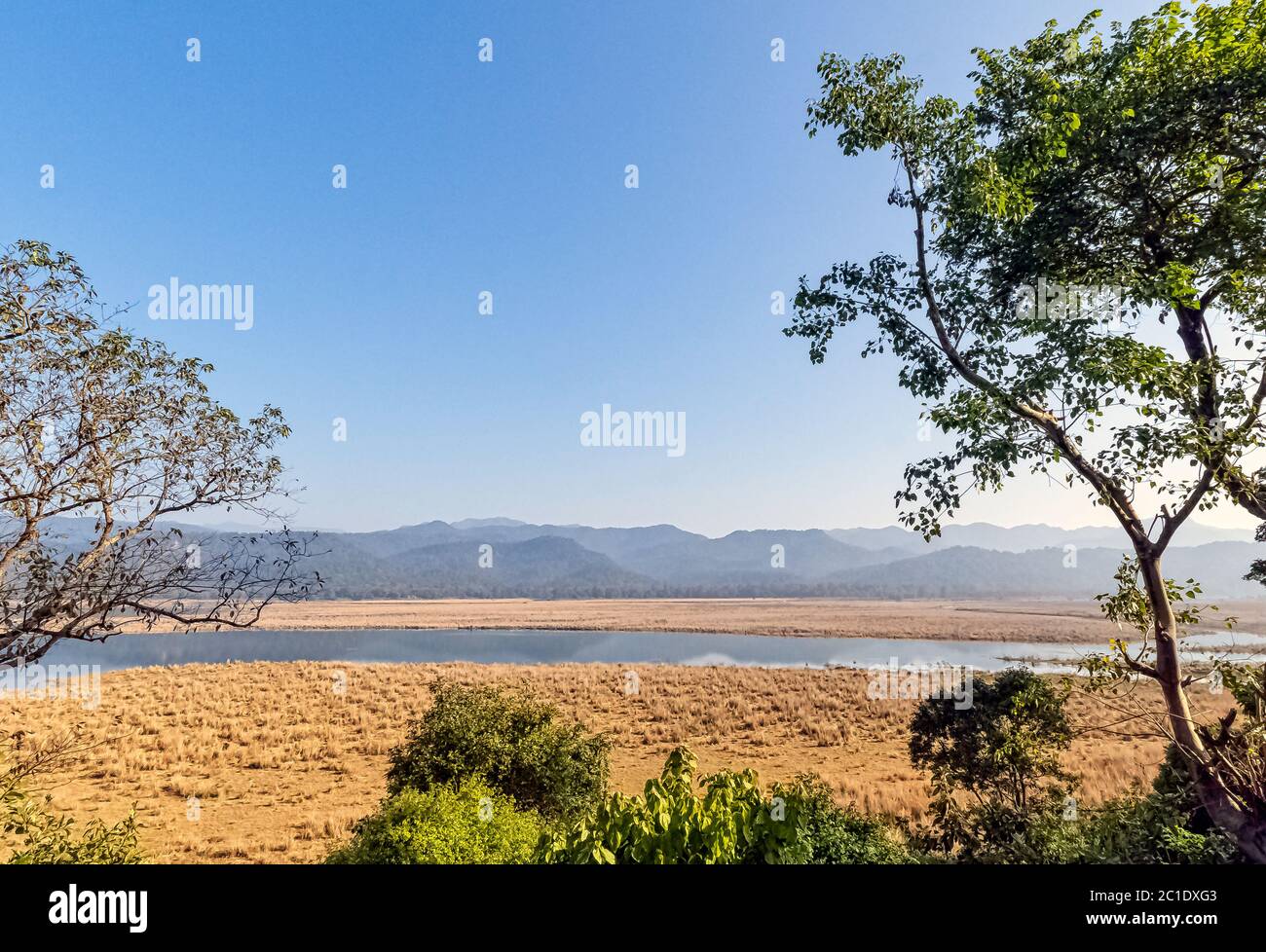 Panorama of Ramganga River in Jim Corbett National Park, India Stock ...