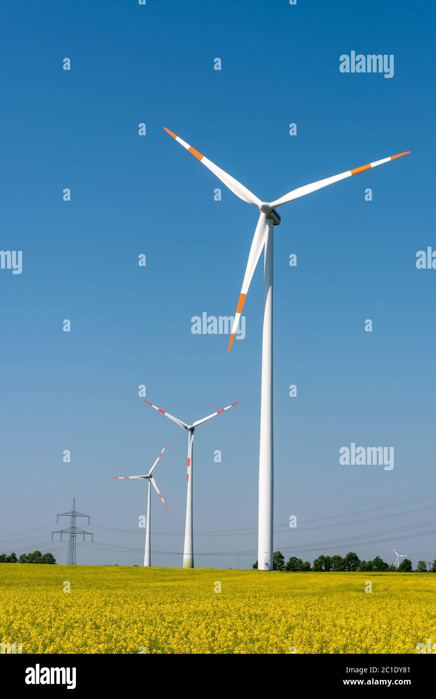 Yellow blossoming rapeseed and wind energy turbines seen in rural ...