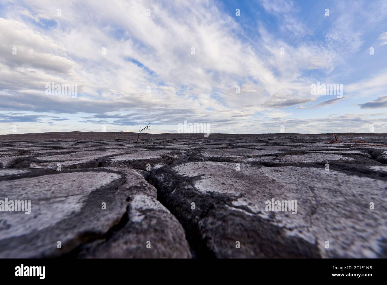 Desert Scenery. Blue sky with clouds over a desert with a dead tree ...