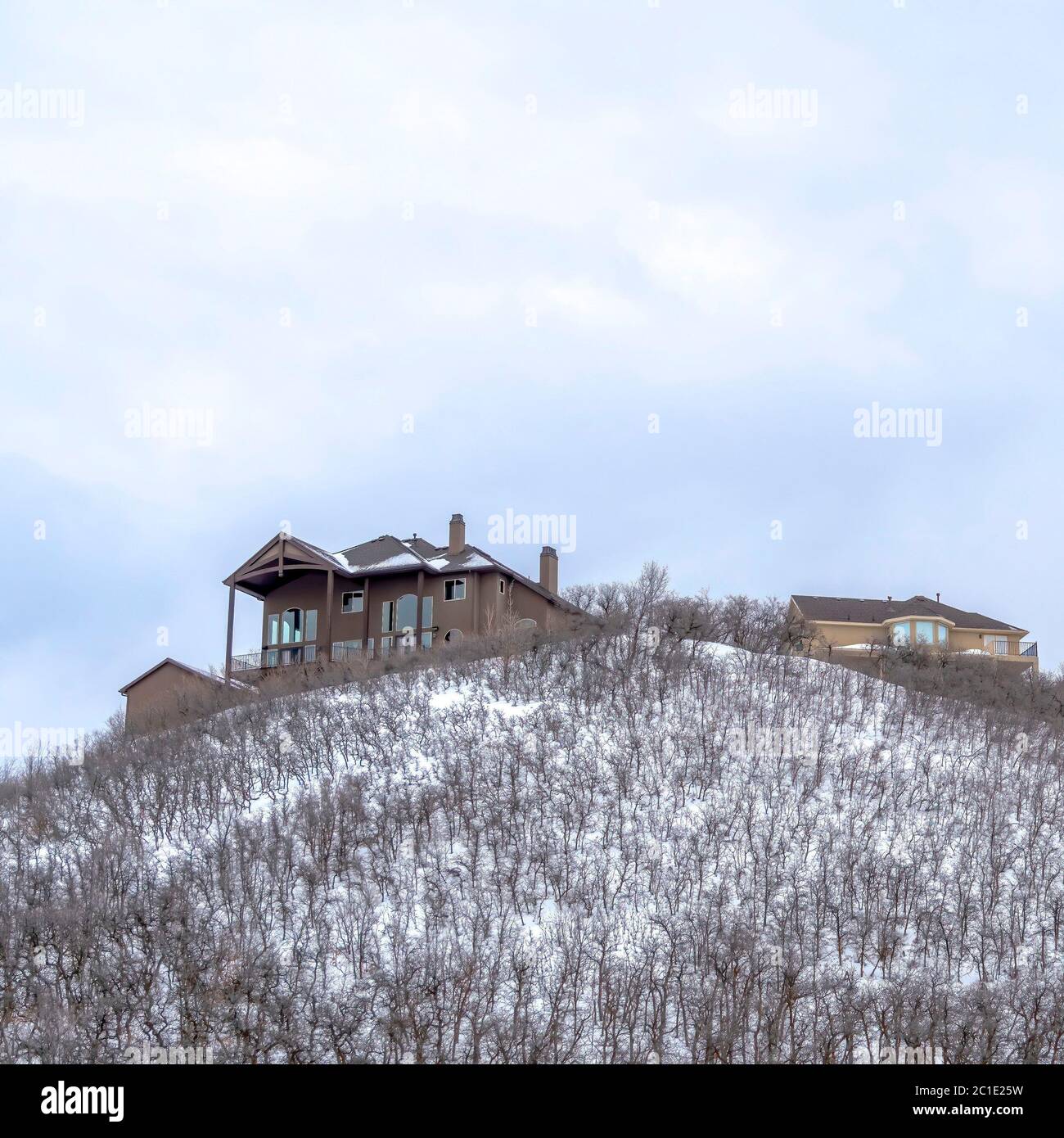 Square crop Homes atop a hill with leafless bushes on the slope covered ...