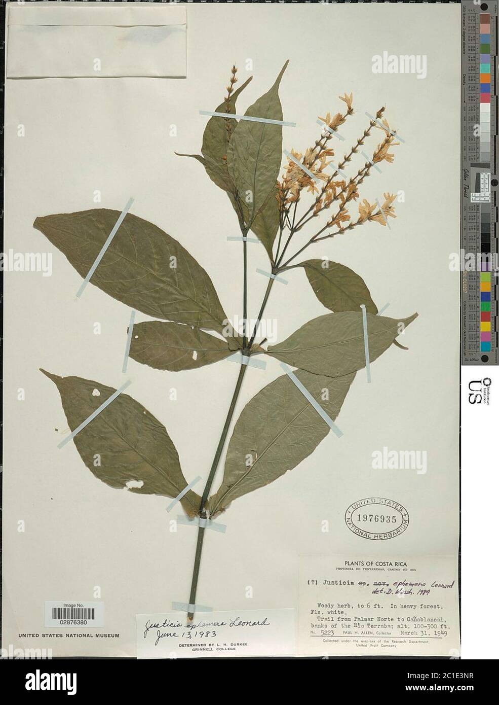 Ephemera collection hi-res stock photography and images - Alamy