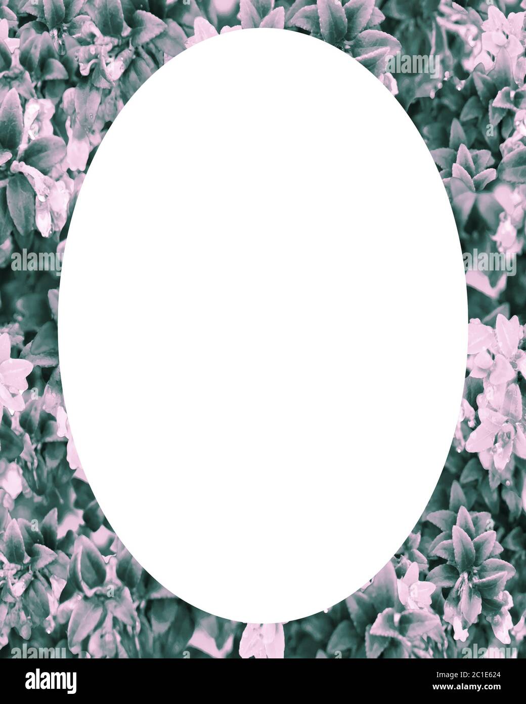 Circle Frame Background with Decorated Borders Stock Photo - Alamy