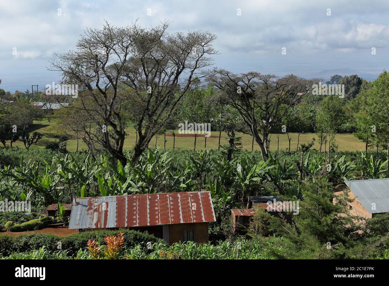 Farm in field tanzania hi-res stock photography and images - Alamy