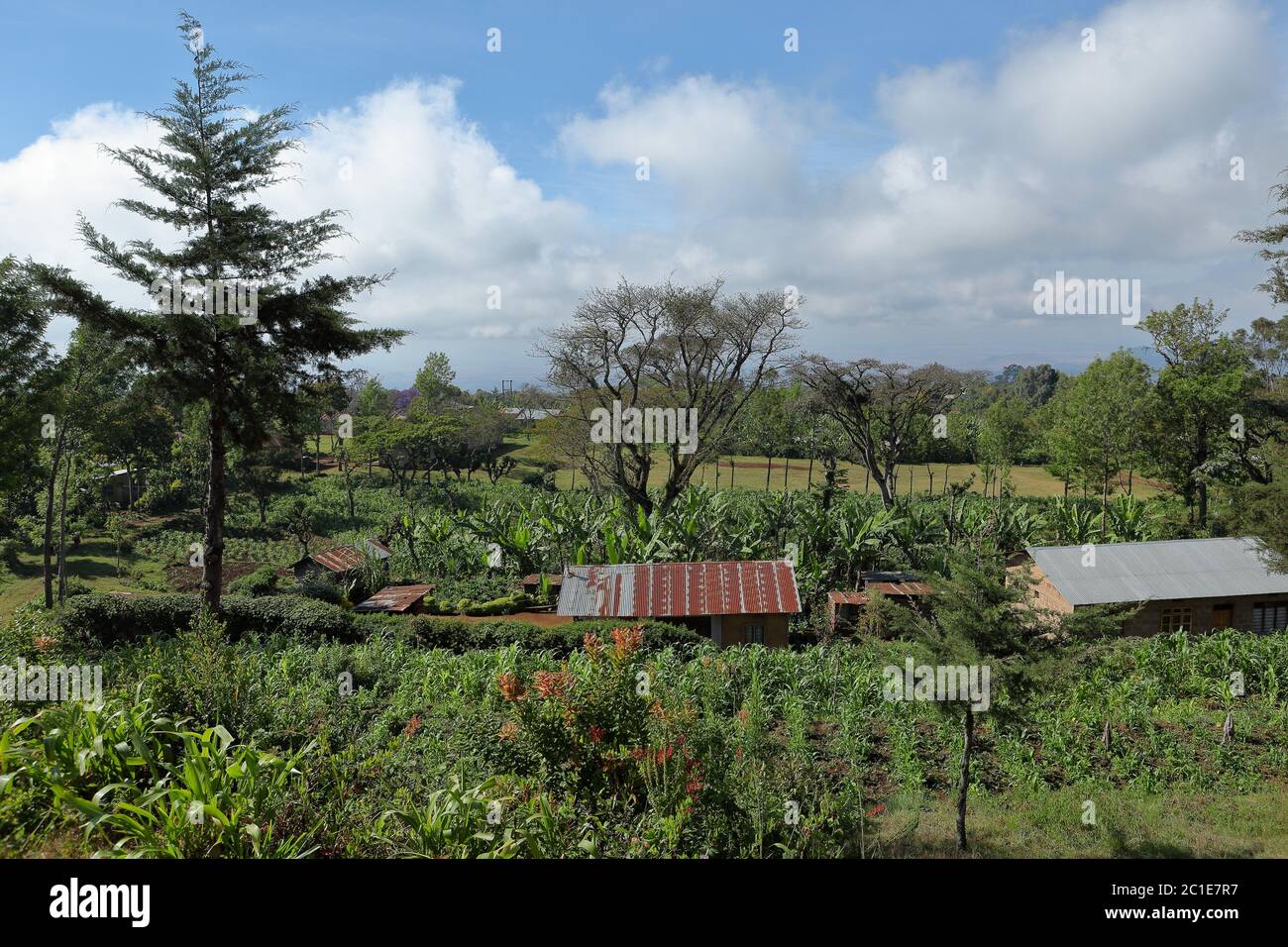 Farm in field tanzania hi-res stock photography and images - Alamy
