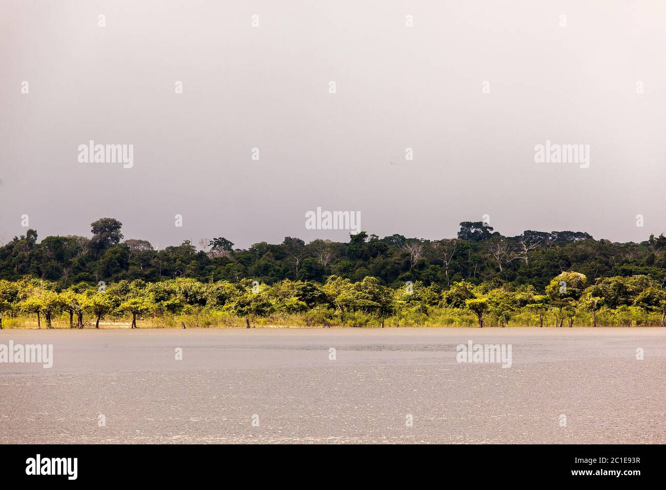 The amazon rainforest storm hi-res stock photography and images - Alamy