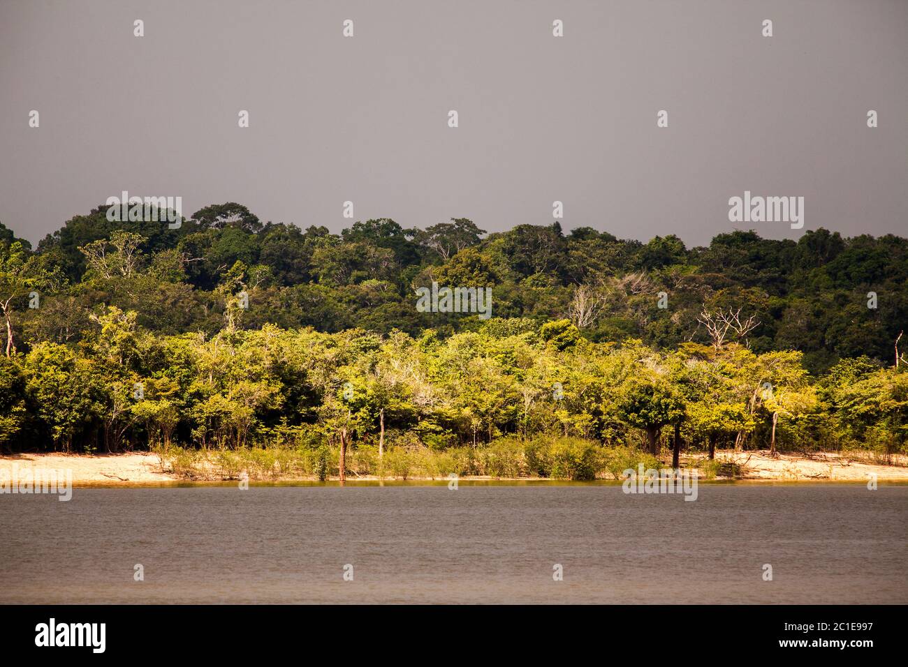The amazon rainforest storm hi-res stock photography and images - Alamy