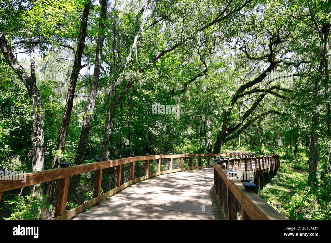 A Beautiful Natural Trail View Stock Photo - Alamy