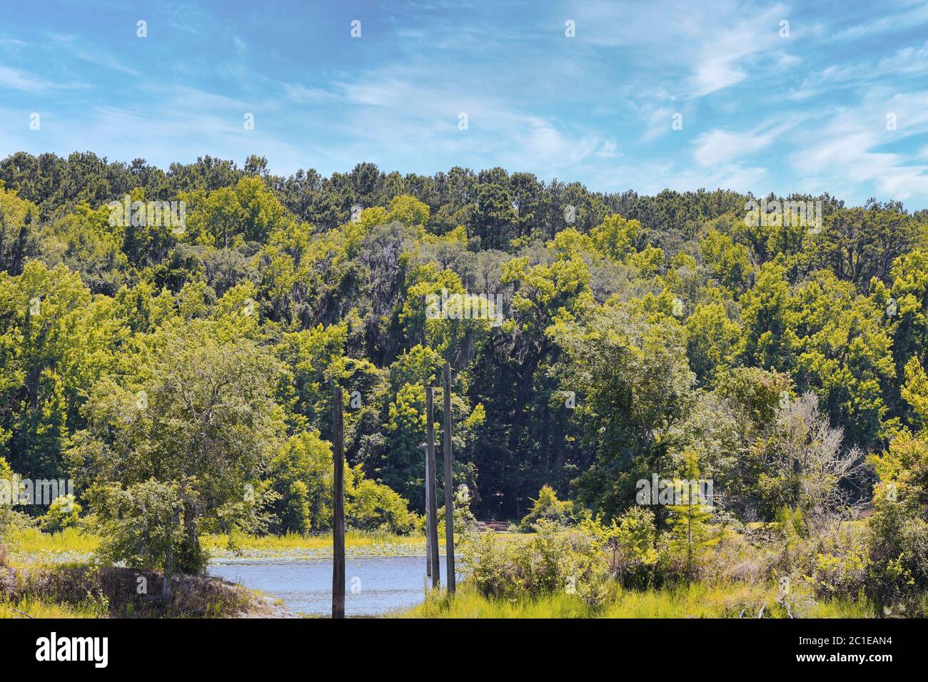 Natural trail hi-res stock photography and images - Alamy