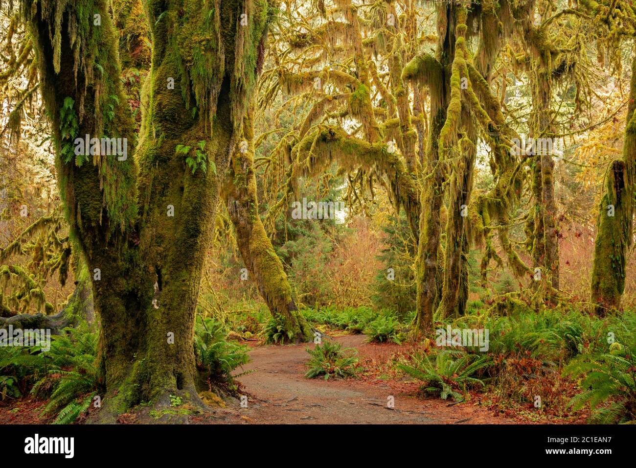 Hall of moses hi-res stock photography and images - Alamy