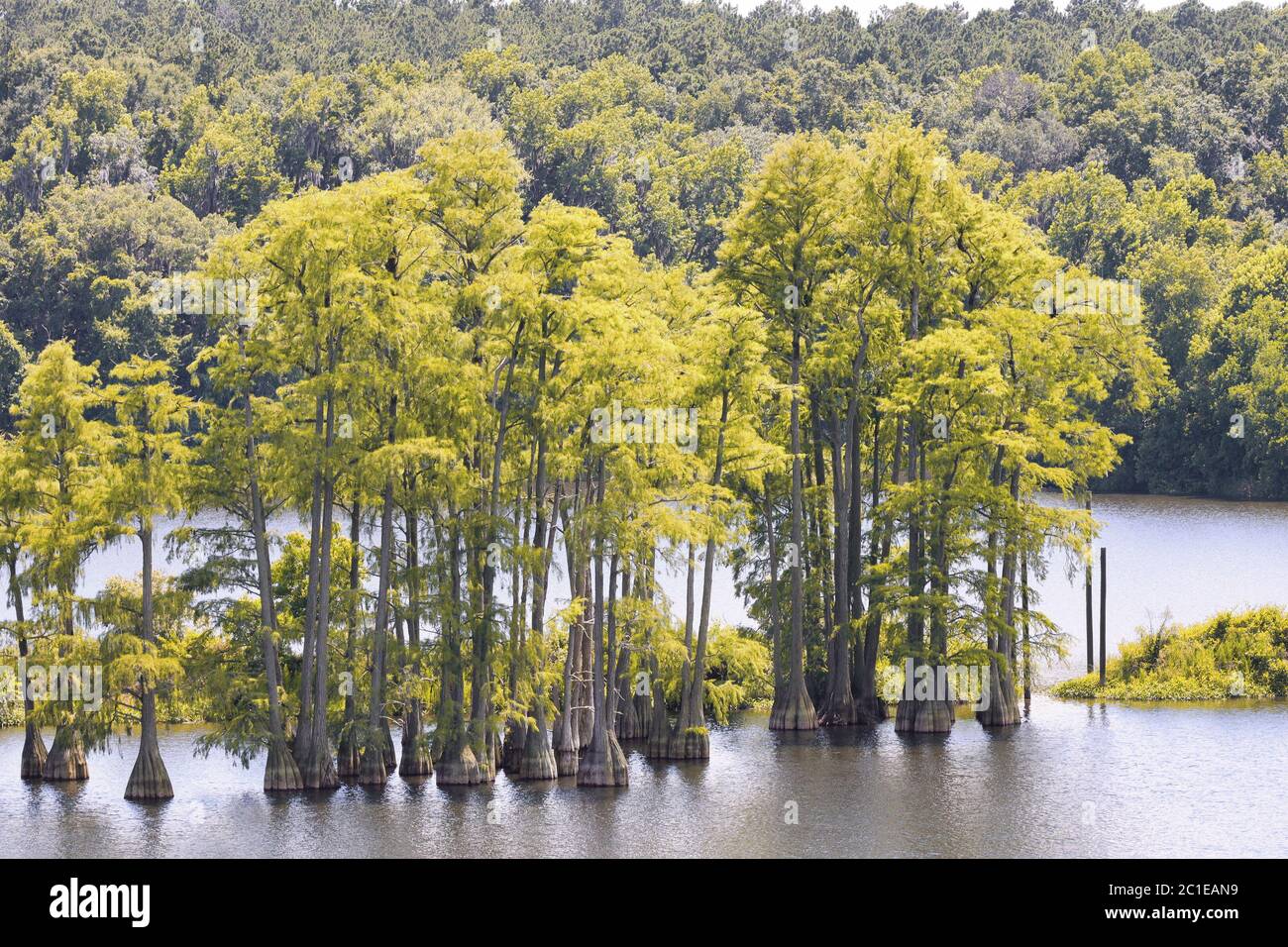 Natural trail hi-res stock photography and images - Alamy