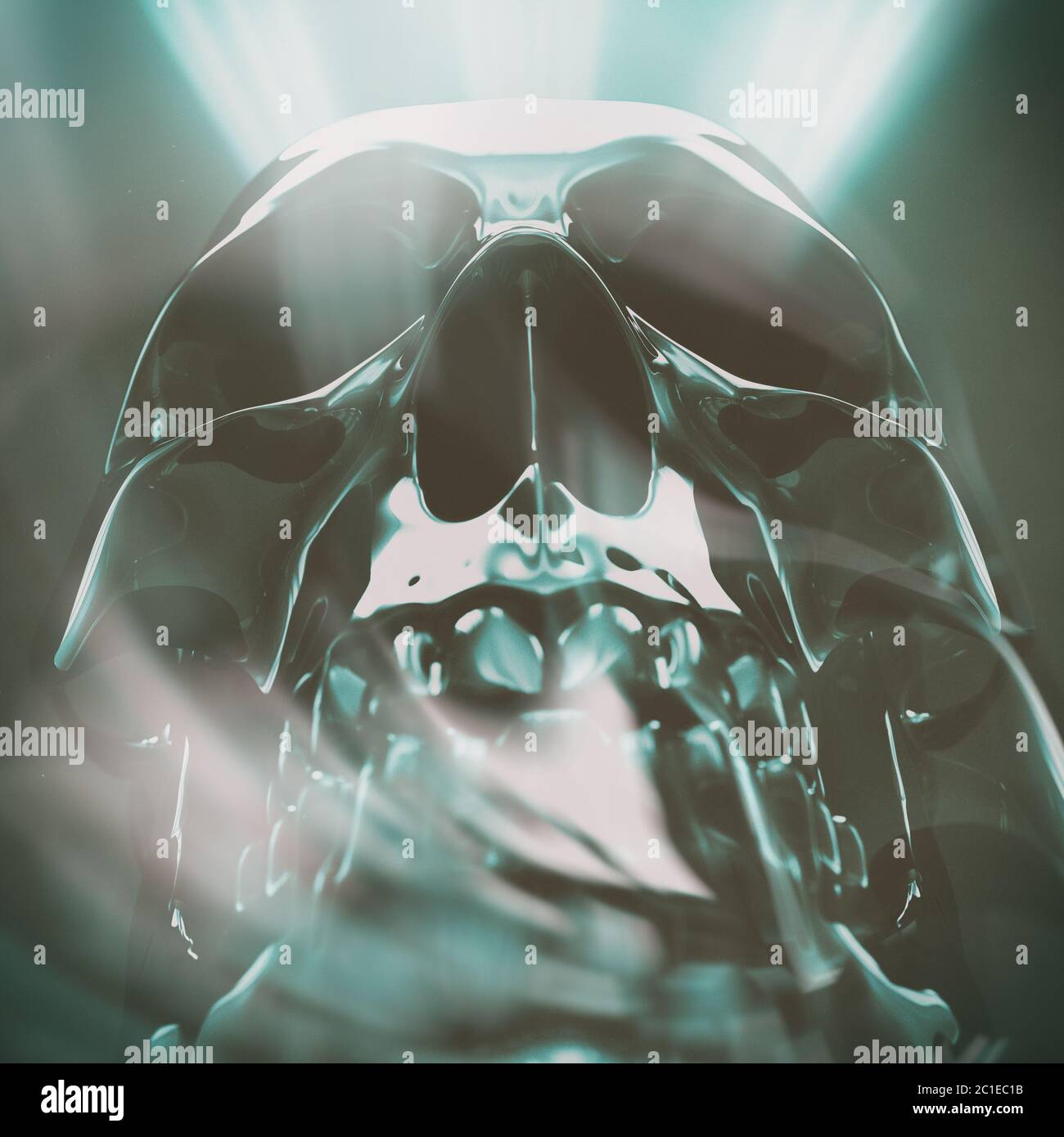 Human Skull Art Image Stock Photo - Alamy