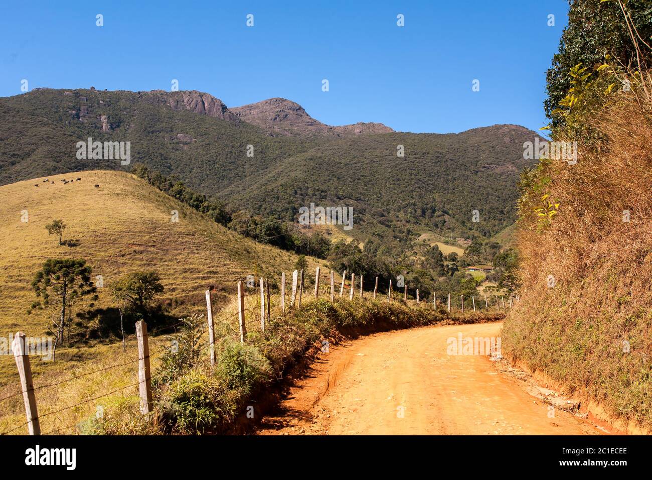 Road in rural cities in Brazil Stock Photo - Alamy