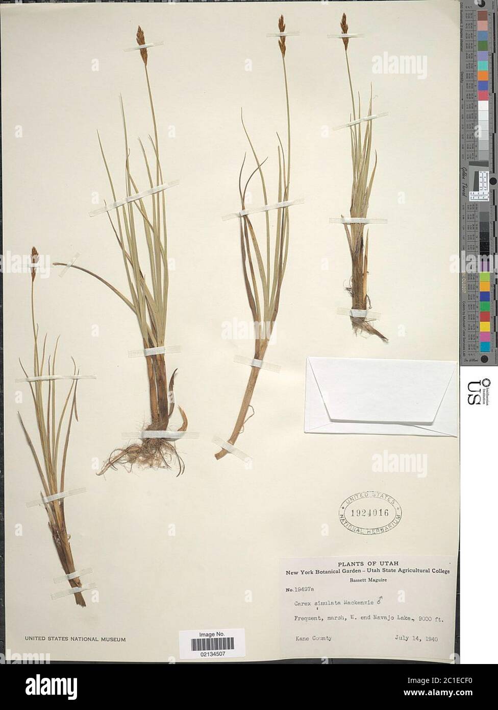 Simulata hi-res stock photography and images - Alamy