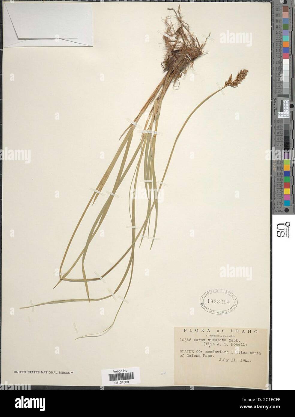 Simulata hi-res stock photography and images - Alamy