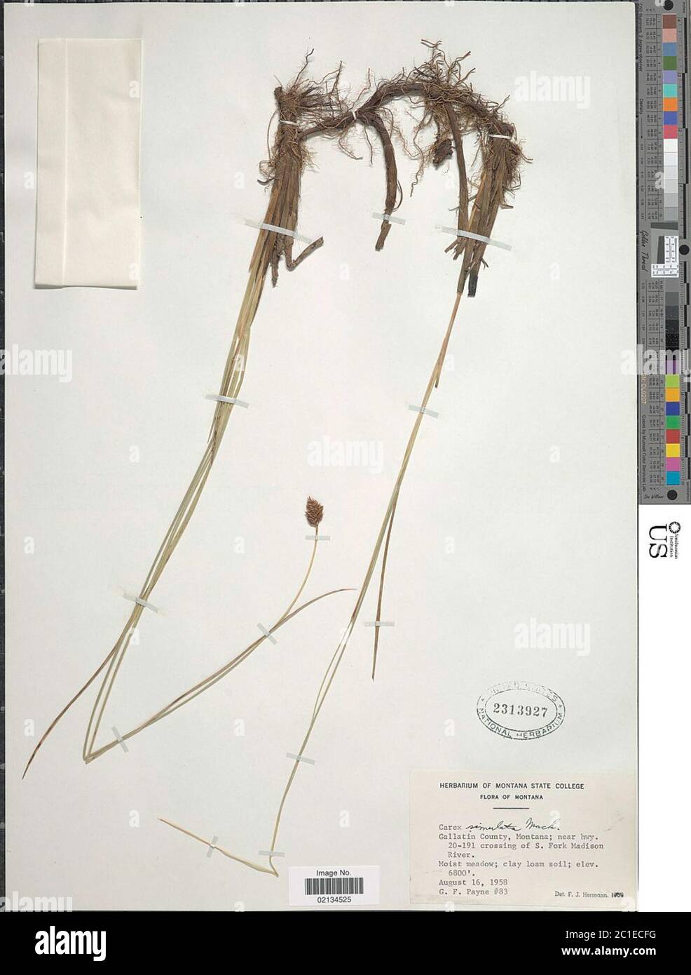 Simulata hi-res stock photography and images - Alamy